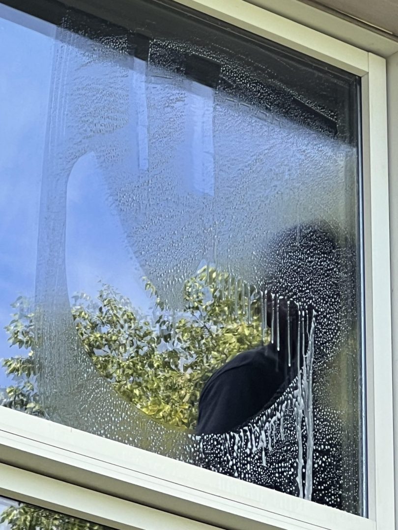 Fun Times – Jet Window Cleaning