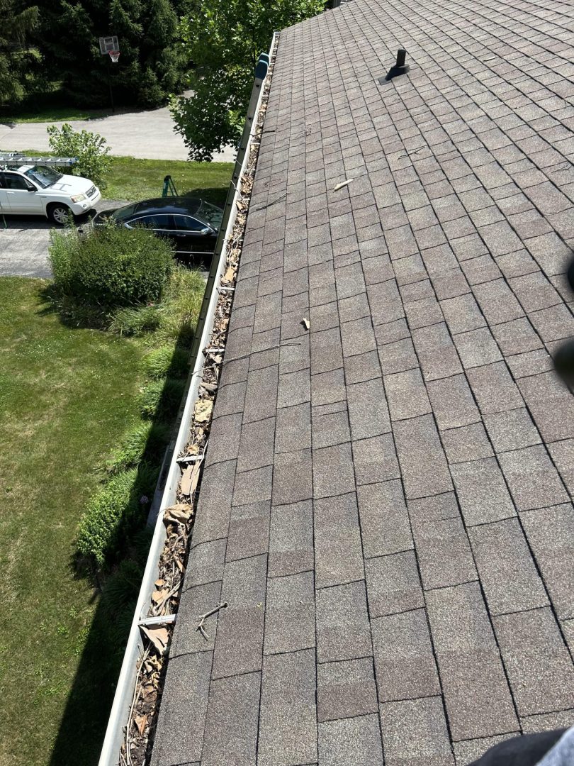 Reasons to Use Professional Gutter Cleaning – Jet Window Cleaning